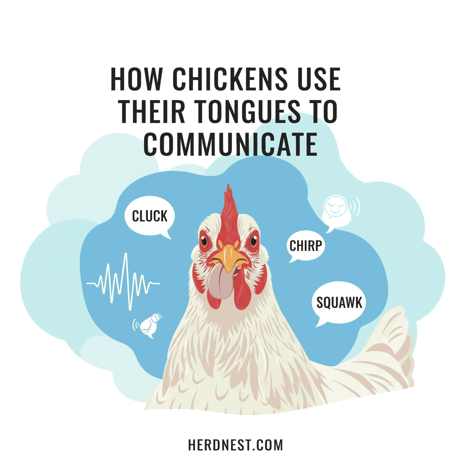 Do Chickens Have Tongues? The Surprising Reality