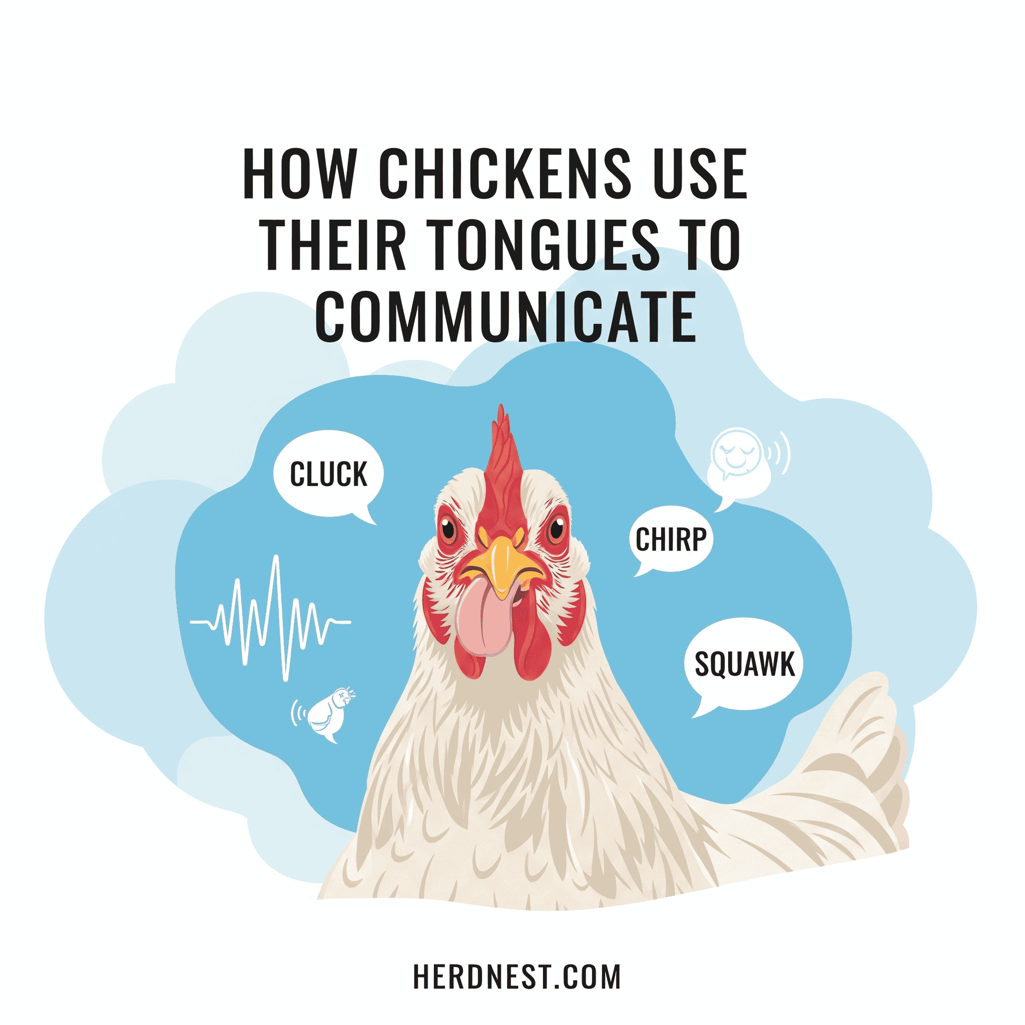 Do Chickens Have Tongues? The Surprising Reality